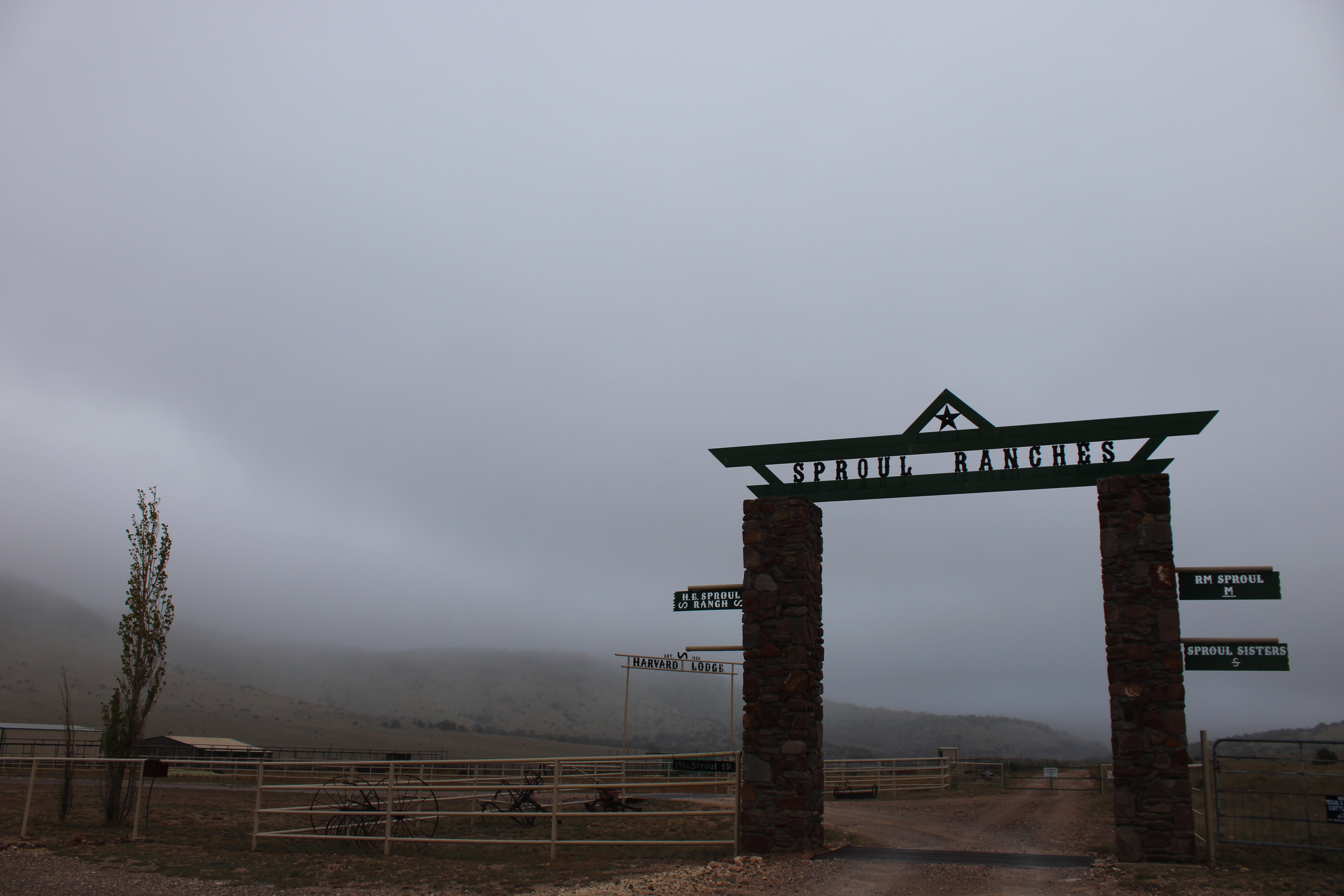 Good Beer Hunting article: ‘Lone Star Legends — A Foraging Trip Reveals ...